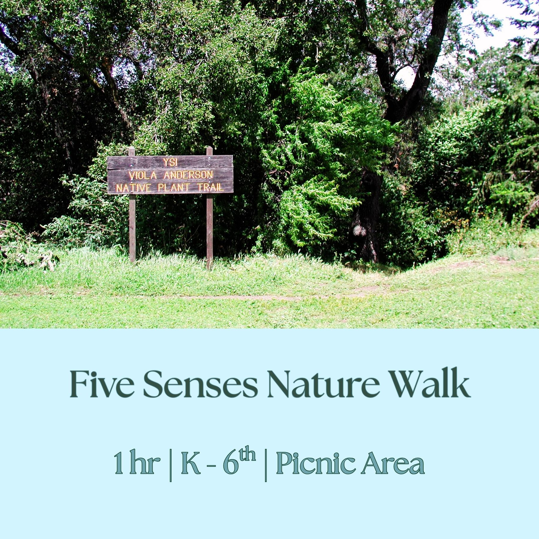 Facility Bookings | Youth Science Institute (Vasona Park) Store